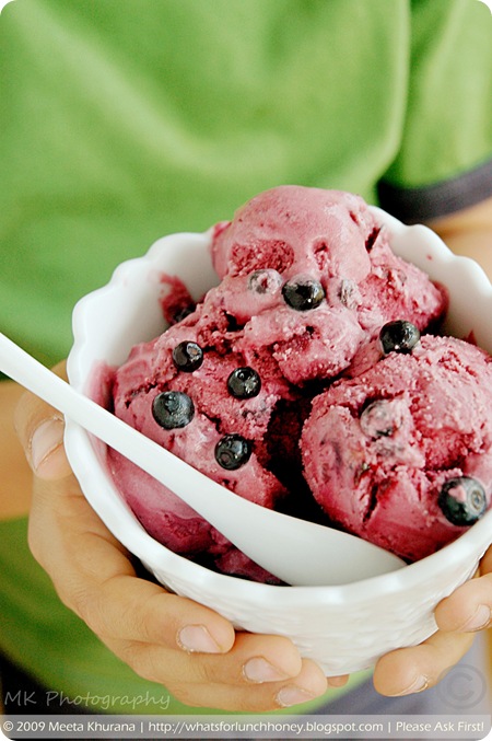 What's For Lunch Honey?: Wild Blueberry Lime Coconut Ice Cream with ...